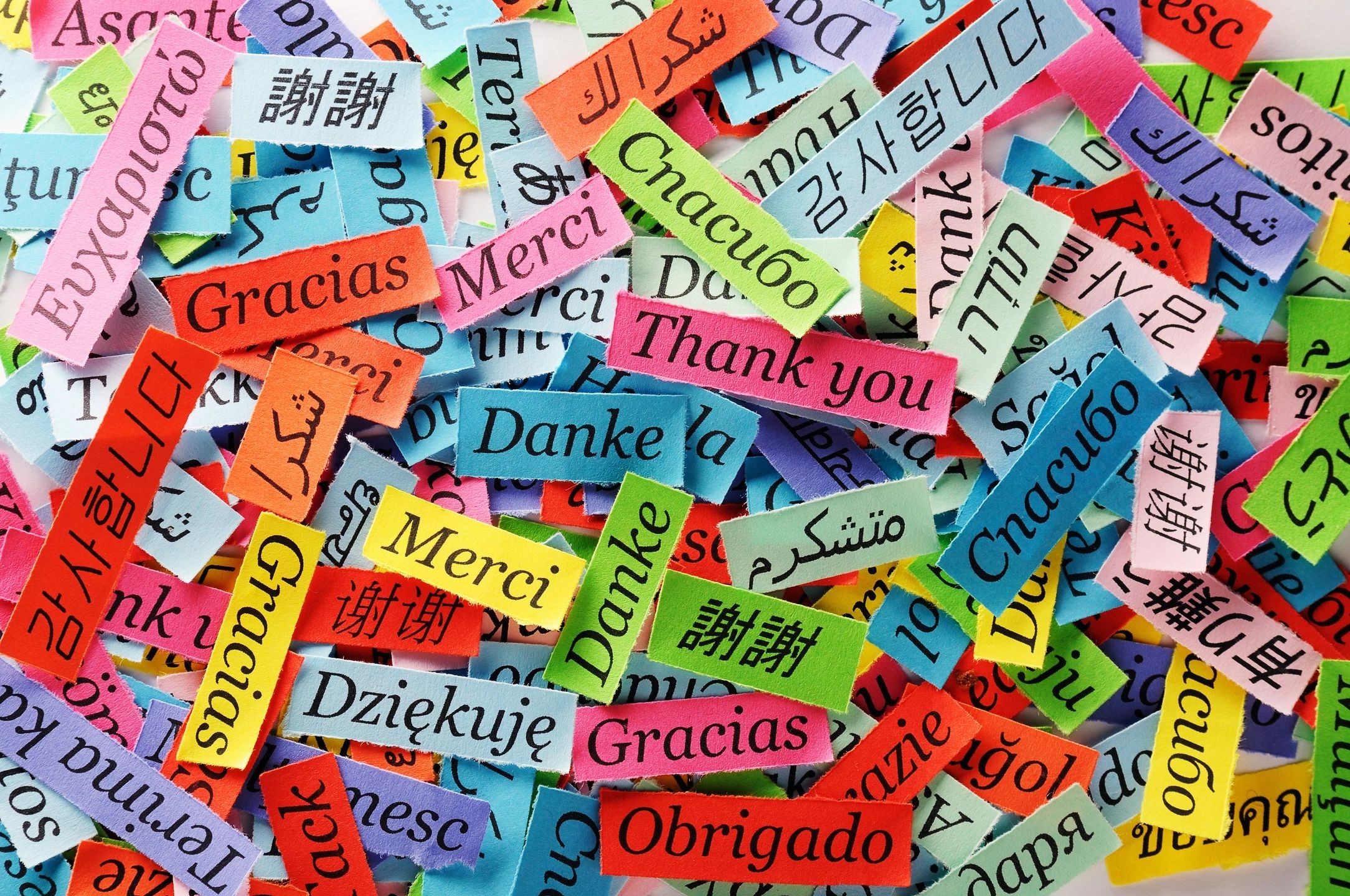 Translation Services from 60+ Languages | QLPD Canada
